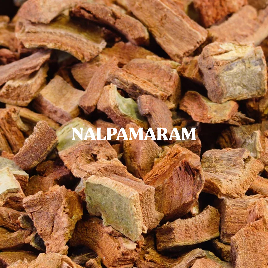 Nalpamaram Powder – Bhramarah