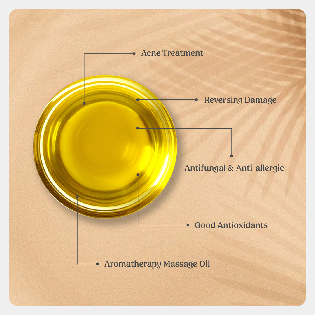 Turmeric Root Oil – Bhramarah